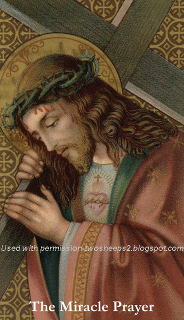 Catholic Church New Springtime of Evangelization Materials, Resources ...