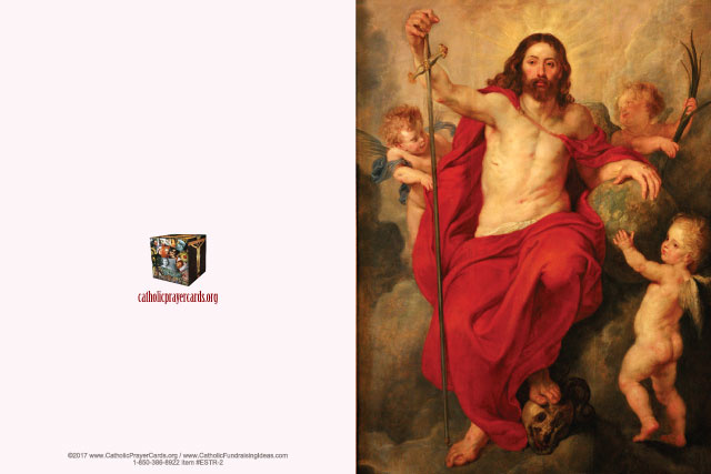 Catholic Church New Springtime of Evangelization Materials, Resources ...