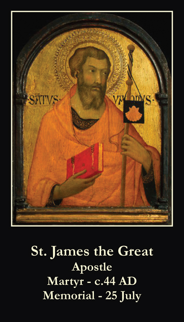 Catholic Church New Springtime of Evangelization Materials, Resources ...